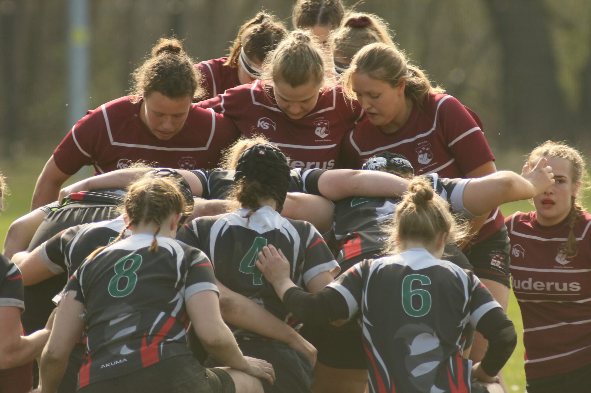 Heimsieg gegen die Ruckoons - Rugby Sport Verein Köln